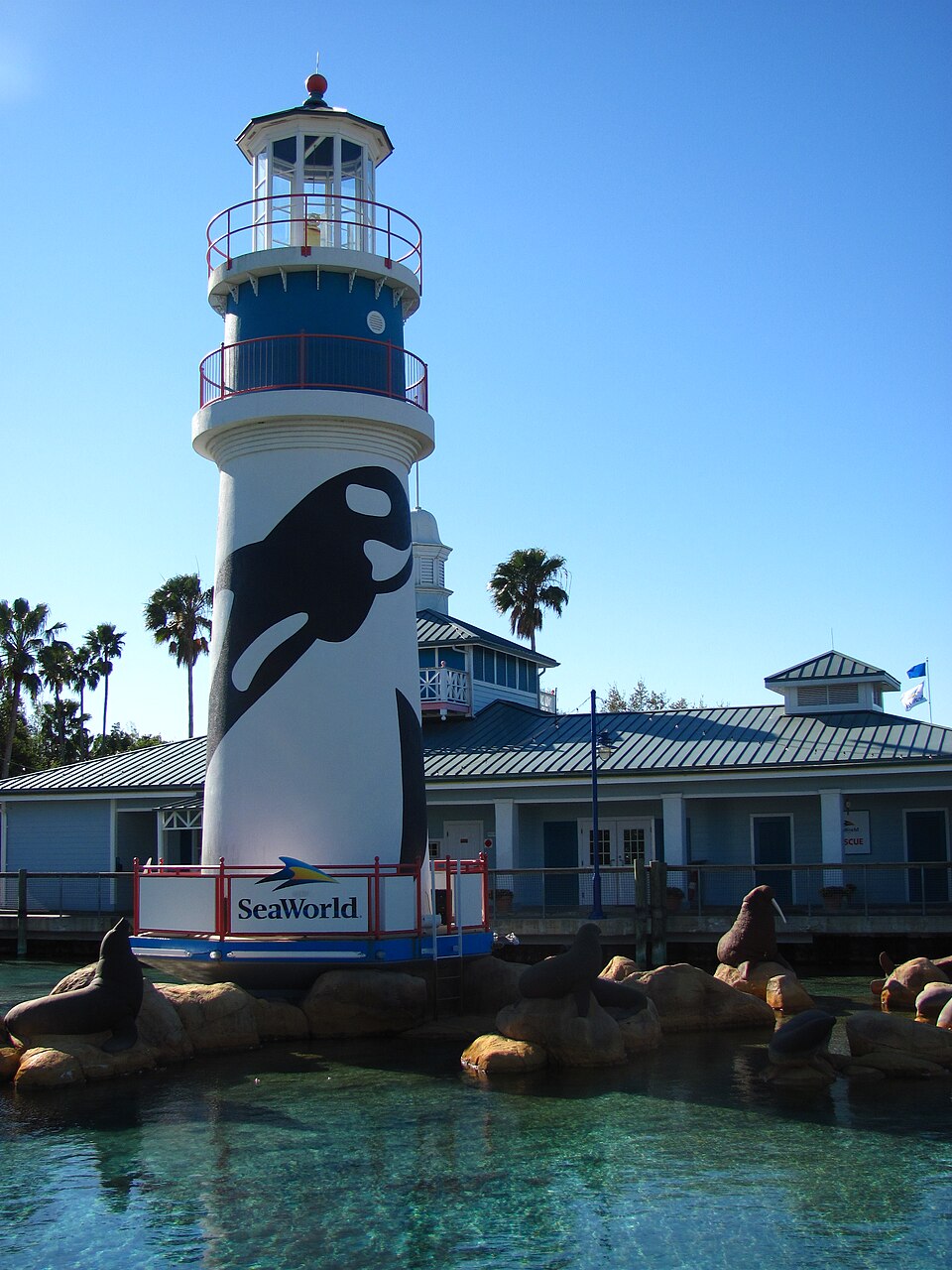 SeaWorld Orlando Height Requirements 2026 - Every Ride | Tall to Ride